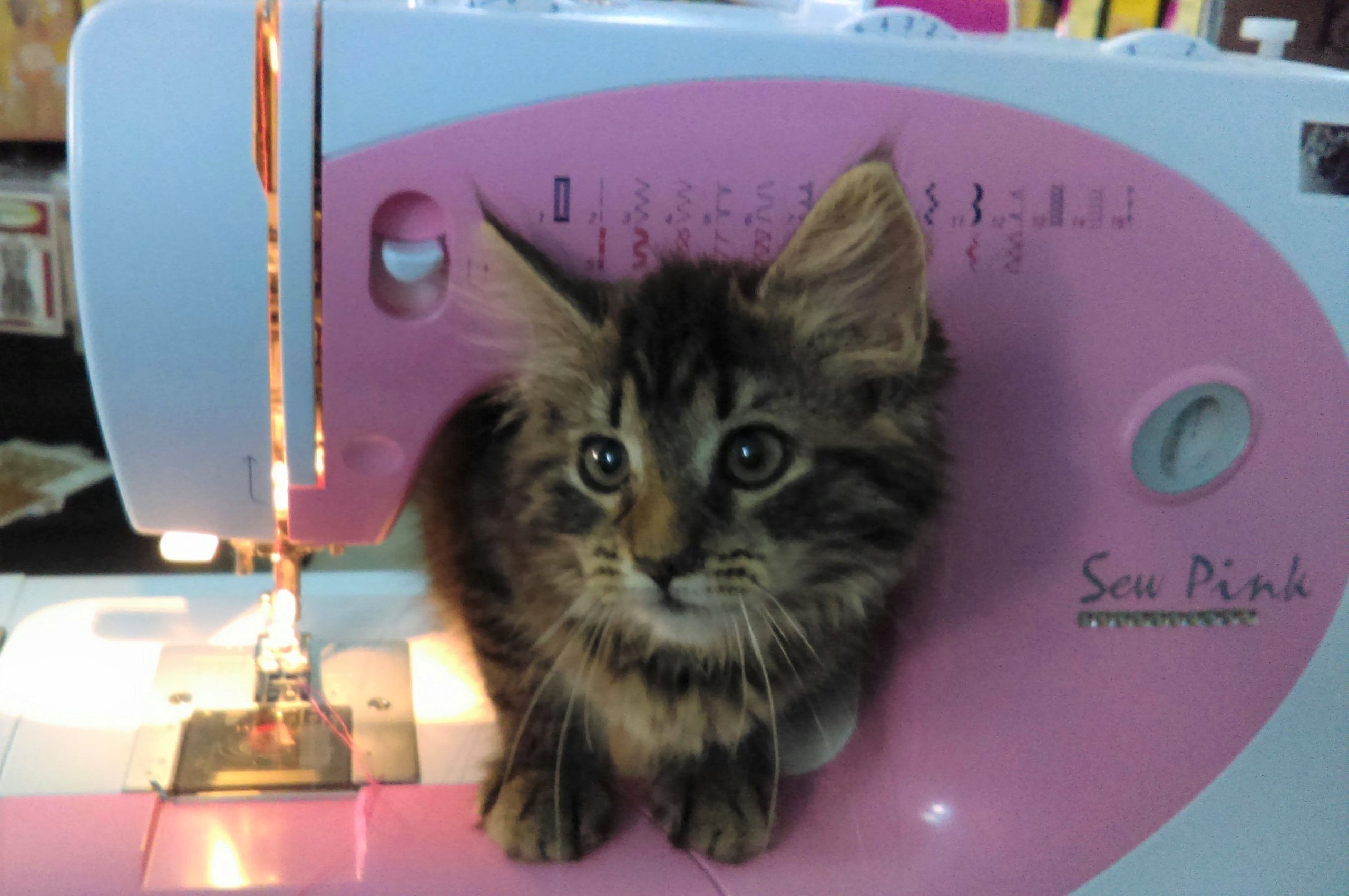 Finish it Friday | My Site