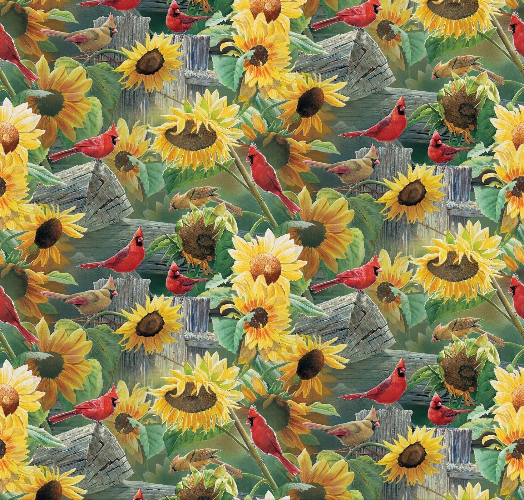 Red Cardinal and Sunflowers | My Site